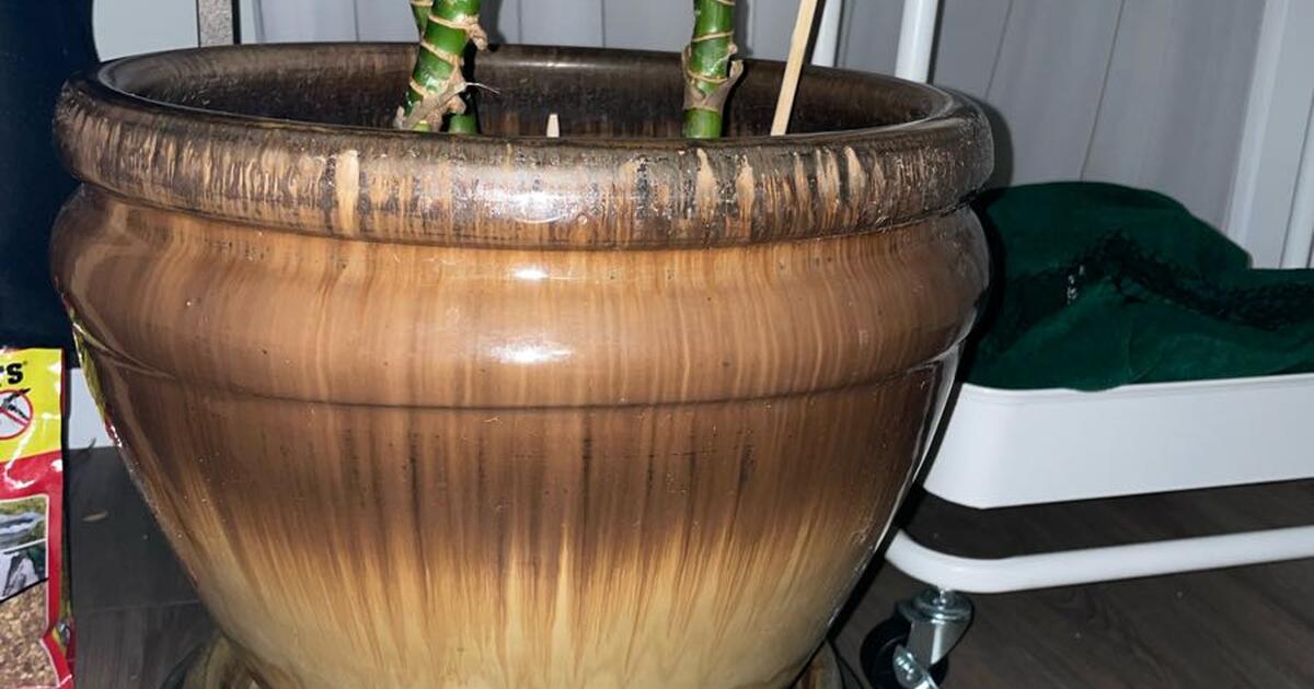 Ceramic outer pot with its saucer with casters for $85 in Alexandria ...