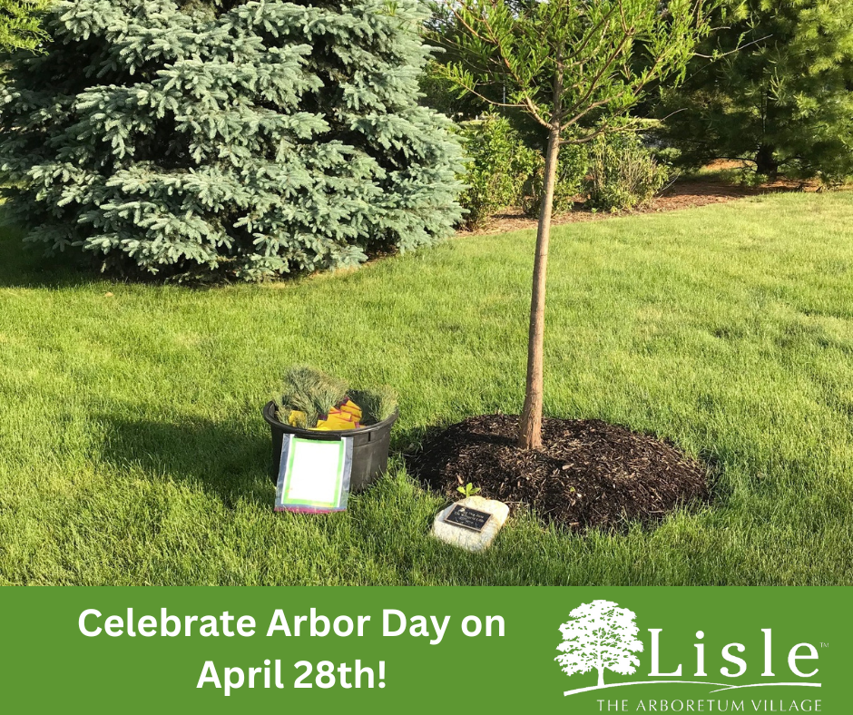 What better way to celebrate #ArborDay in the Arboretum Village than by ...