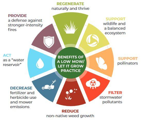 Low-mow/Let it Grow: best practice for open space (City of Arvada ...