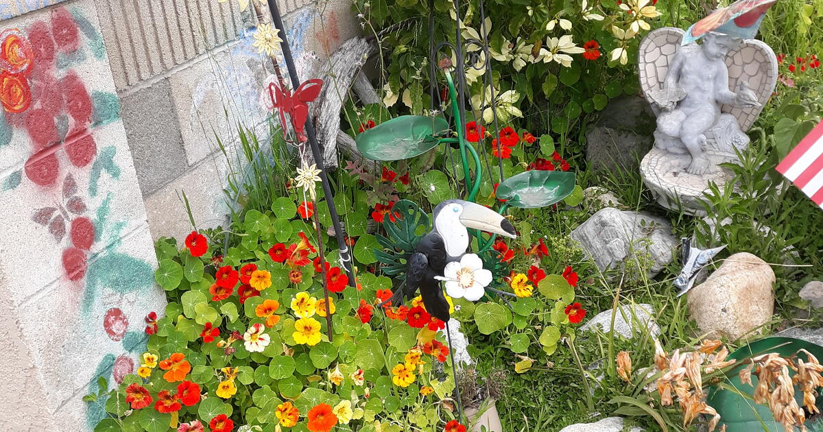 WANTED......ISO.....GARDEN/YARD HELP for Free in Buena Park, CA | For ...