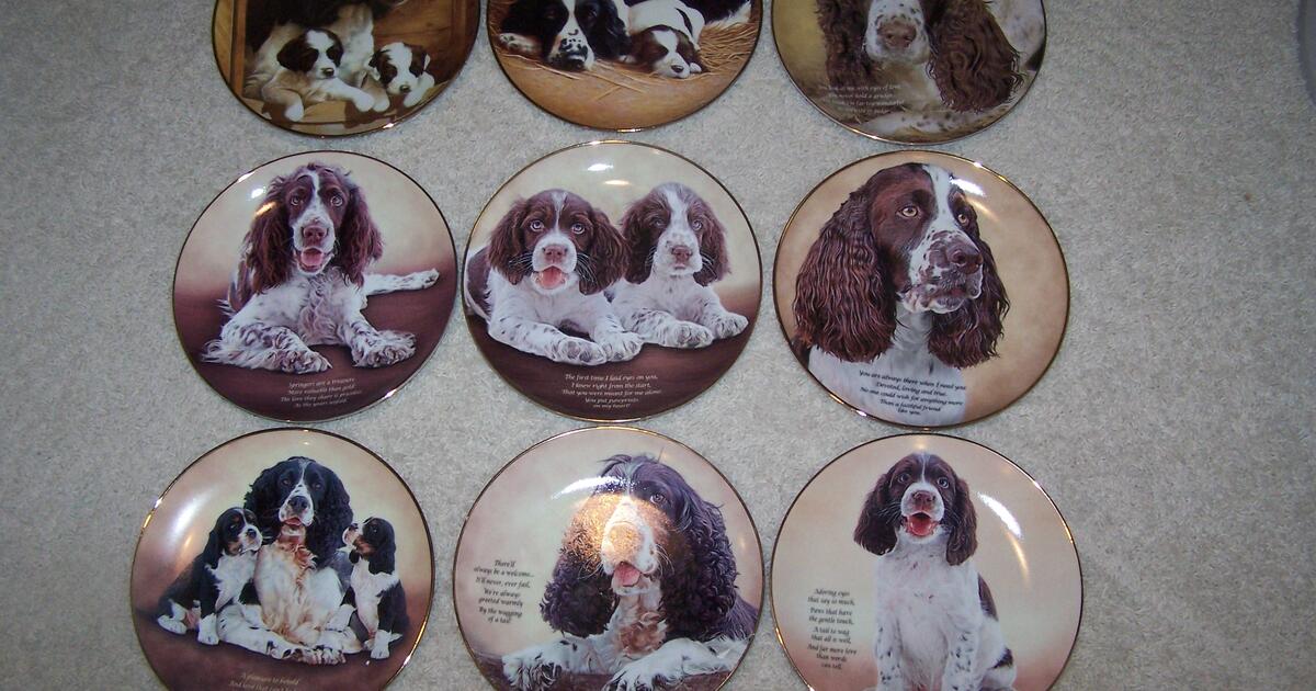 9 Springer Spaniel Collector Plates for $120 in Ramsey, MN | For Sale ...