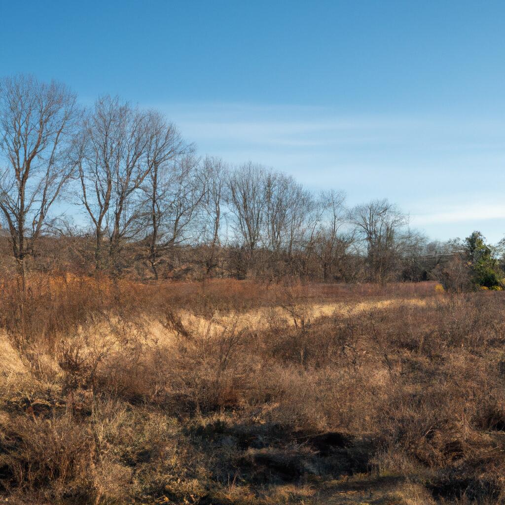 Timber Trails, Sherman | Everything You Need to Know