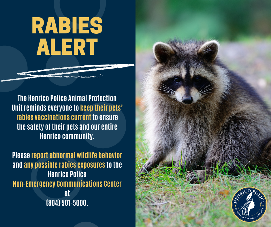 Henrico Police Encounter First Rabies Case of 2024 (Henrico County ...