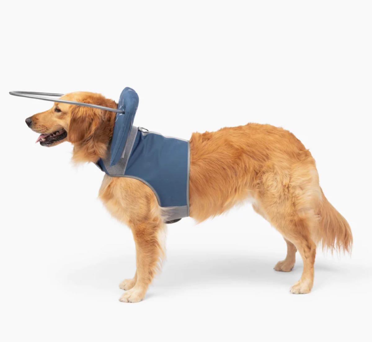 Muffin’s Halo, Aid for blind dogs for Free in Arvada, CO | For Sale ...