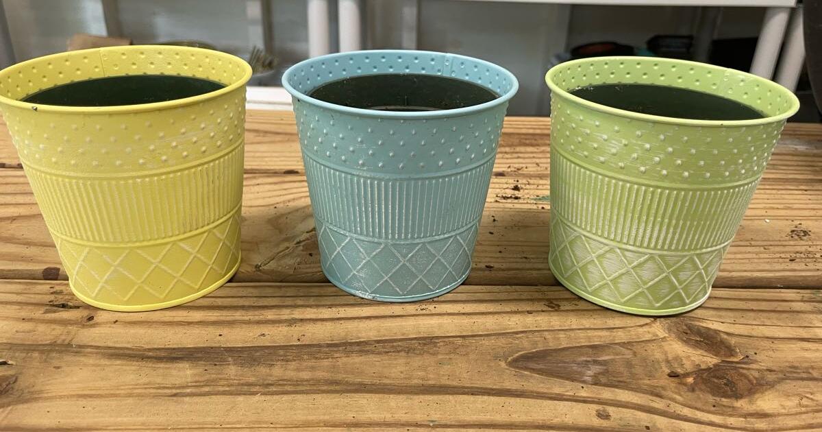 Three small planters. for $6 in Greensboro, NC | For Sale & Free — Nextdoor