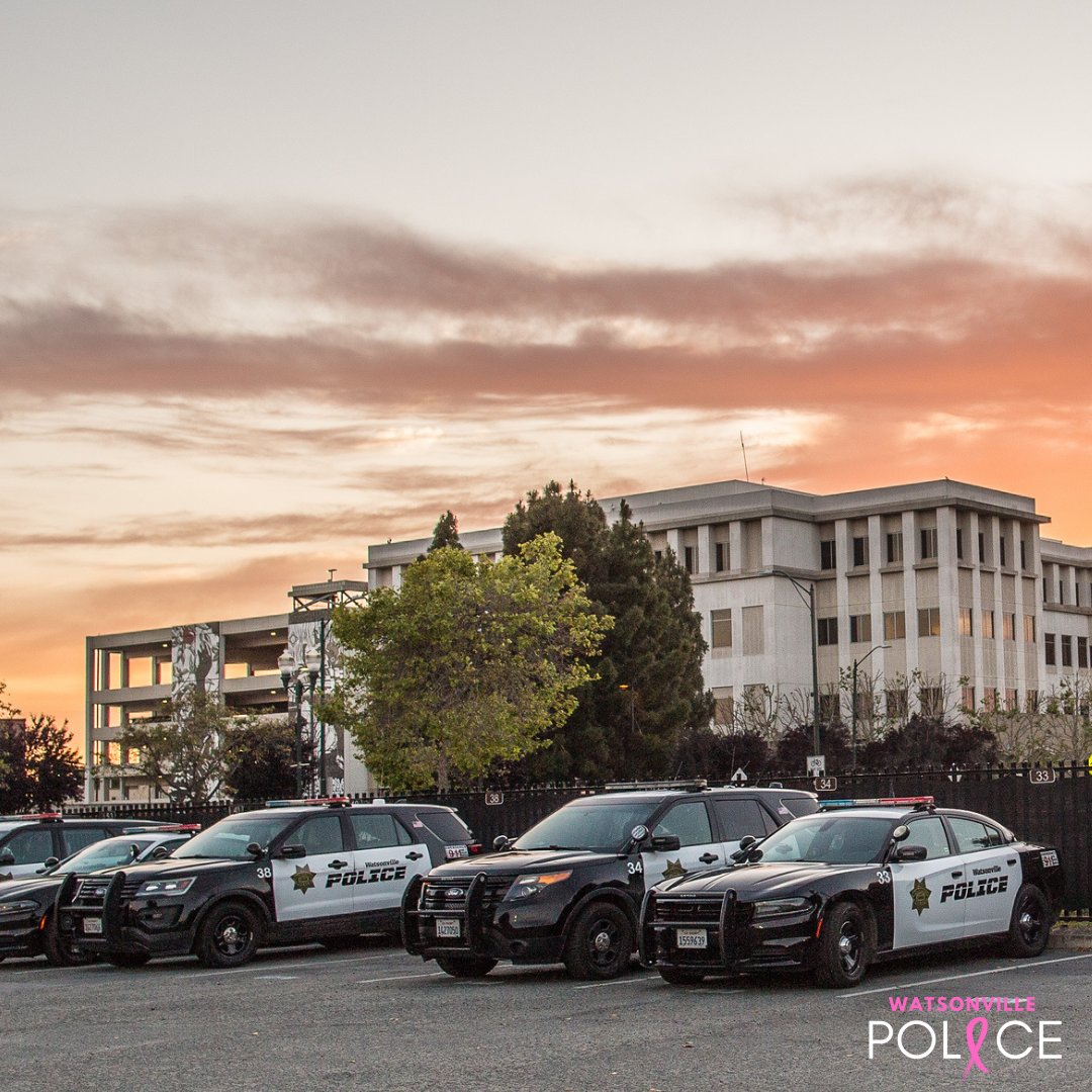 Officers and CARE Team de-escalate critical incident involving armed ...