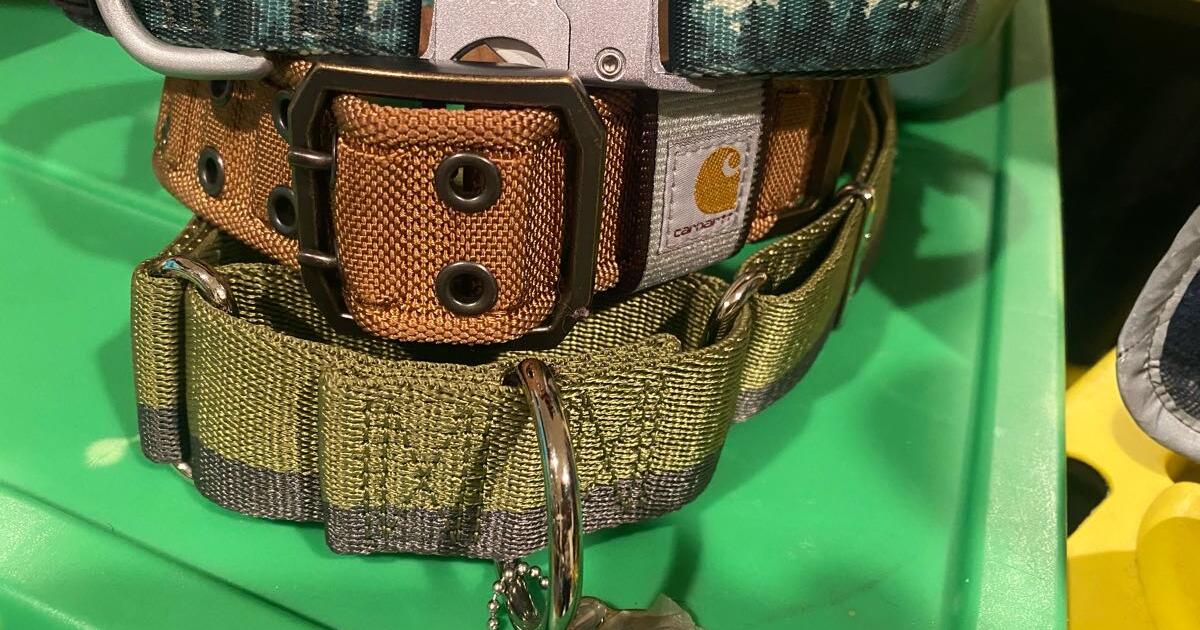 {CLAIMED w/back ups} Rex Specs and Carhartt Dog Collars for Free in ...