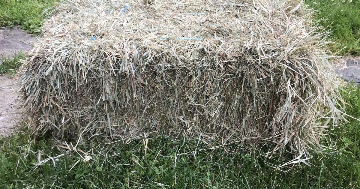 2nd cut local hay in Harvard, MA | For Sale & Free — Nextdoor