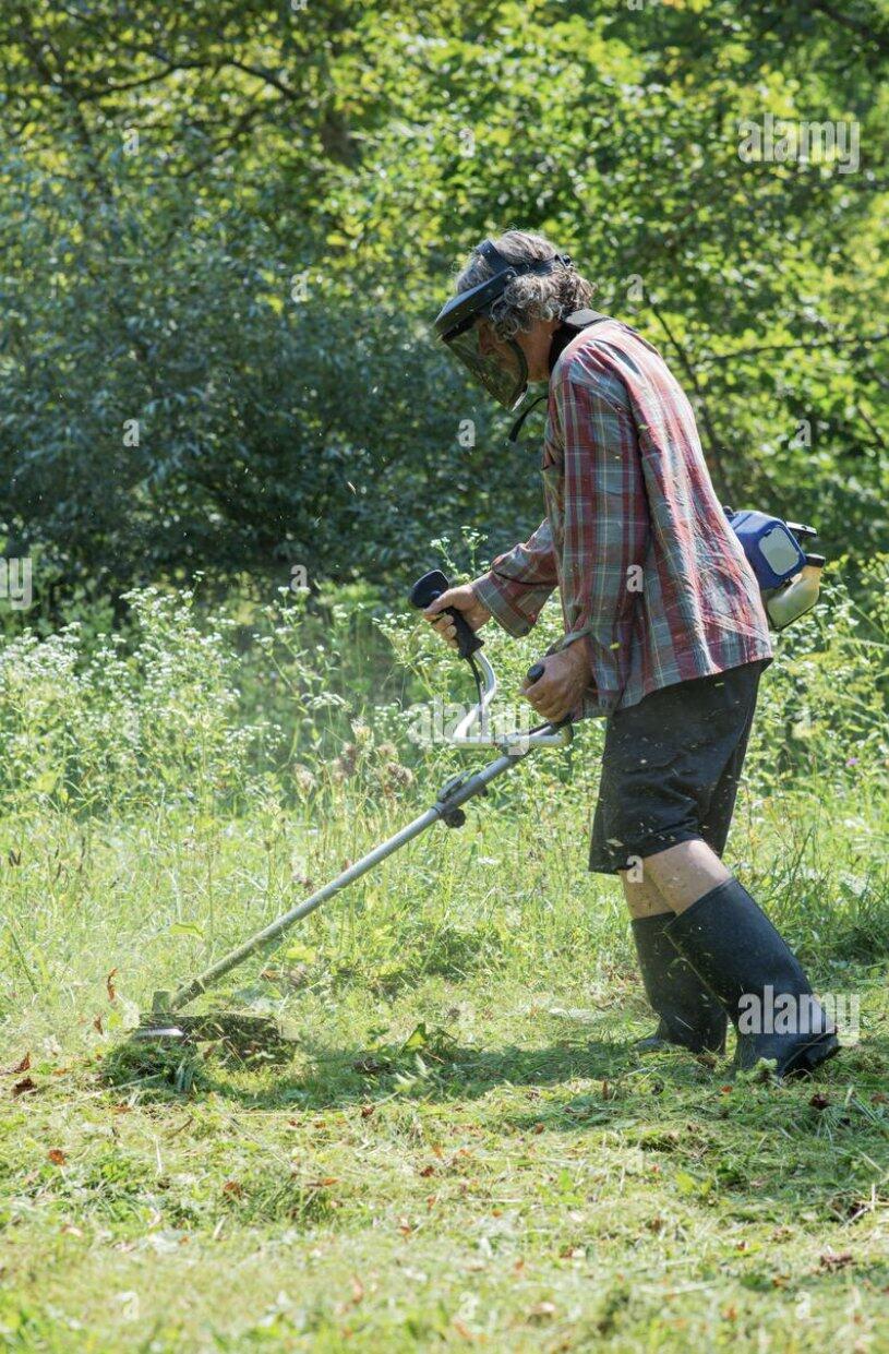 Affordable Weed Whacking for $60 in Redding, CA | For Sale & Free ...