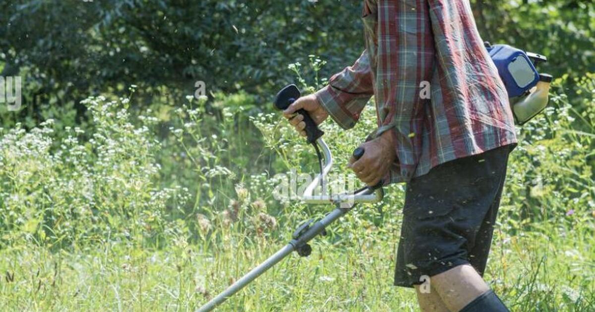 Affordable Weed Whacking for $60 in Redding, CA | For Sale & Free ...