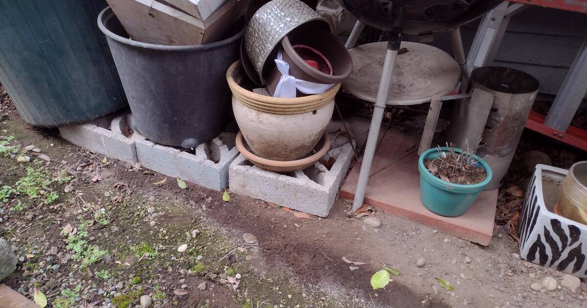 Free plant pots for Free in Kirkland, WA | For Sale & Free — Nextdoor