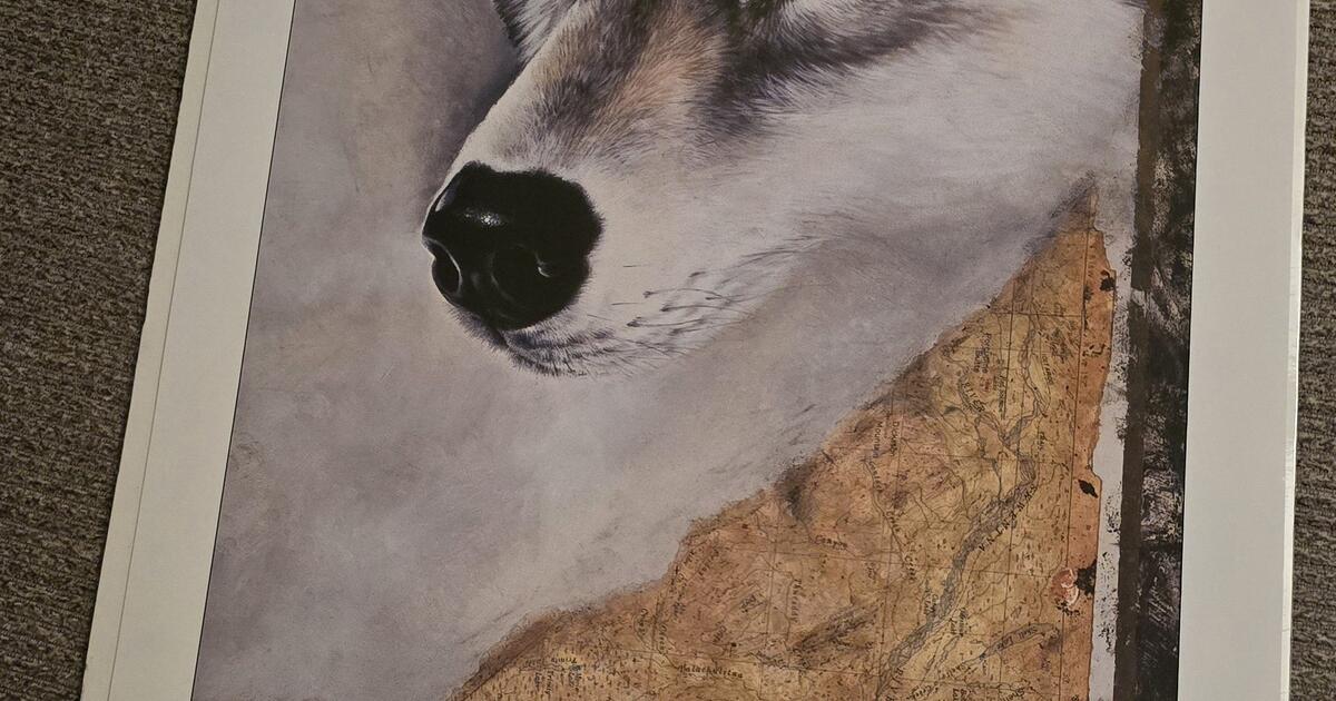 3 James Havens Prints for $75 in Anchorage, AK | For Sale & Free — Nextdoor