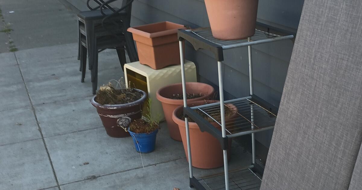 Curb Alert - Plants/Garden, Moving Boxes, Outdoor Chairs for Free in ...
