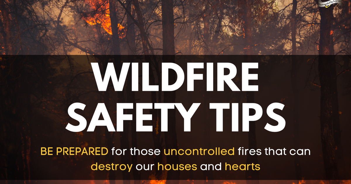 As we are experiencing wildfires across the Superstition, it's time to ...