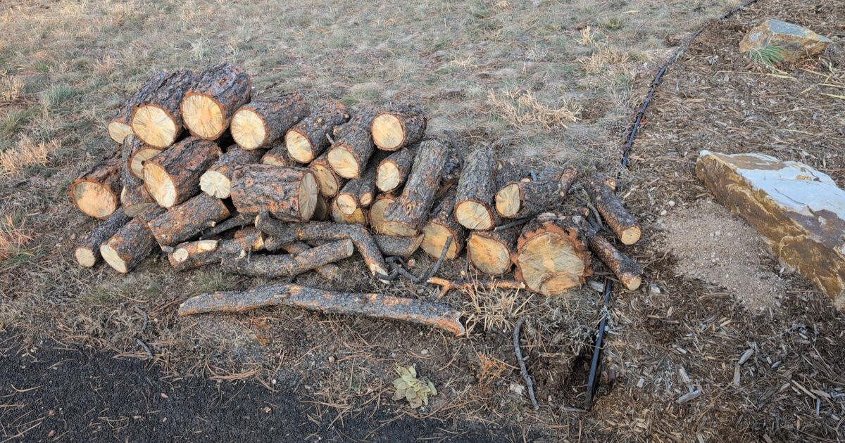 Pine Logs for Free in Colorado Springs, CO | For Sale & Free — Nextdoor