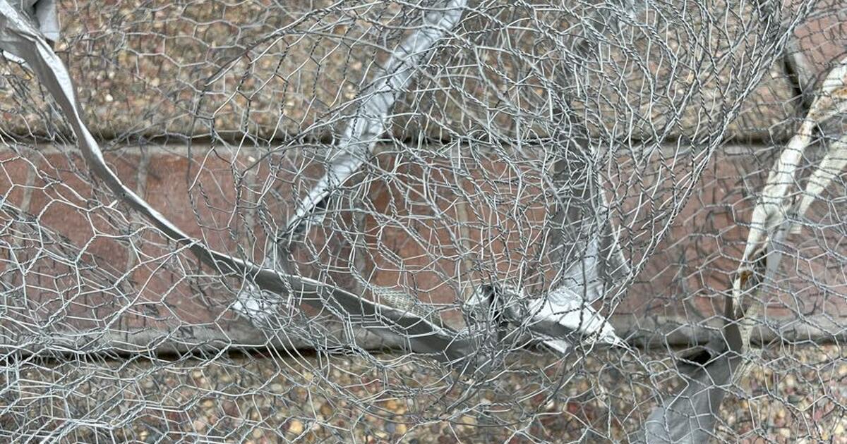 Free chicken wire for Free in Concord, CA | For Sale & Free — Nextdoor