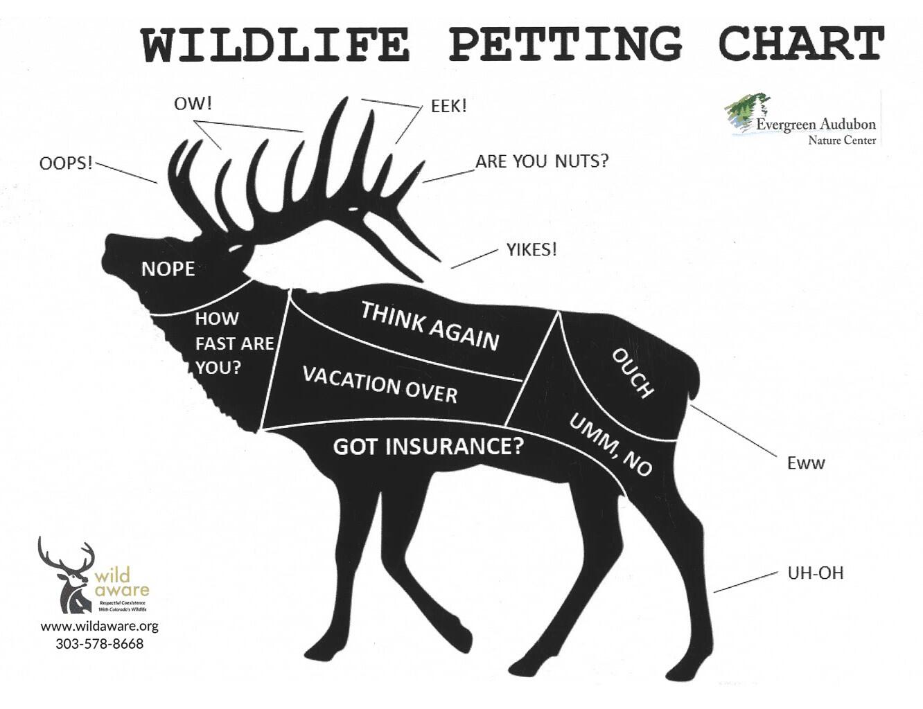 It's time for the annual rut when elk, deer, and moose lose their minds ...