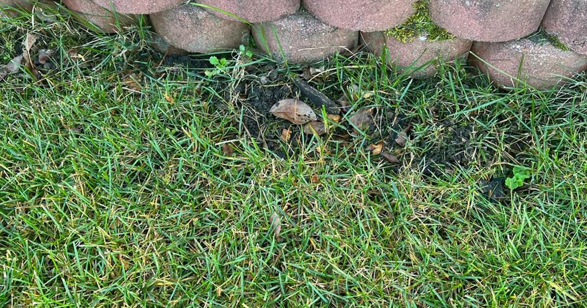 Free crescent edger blocks for Free in Lake Zurich, IL | For Sale ...