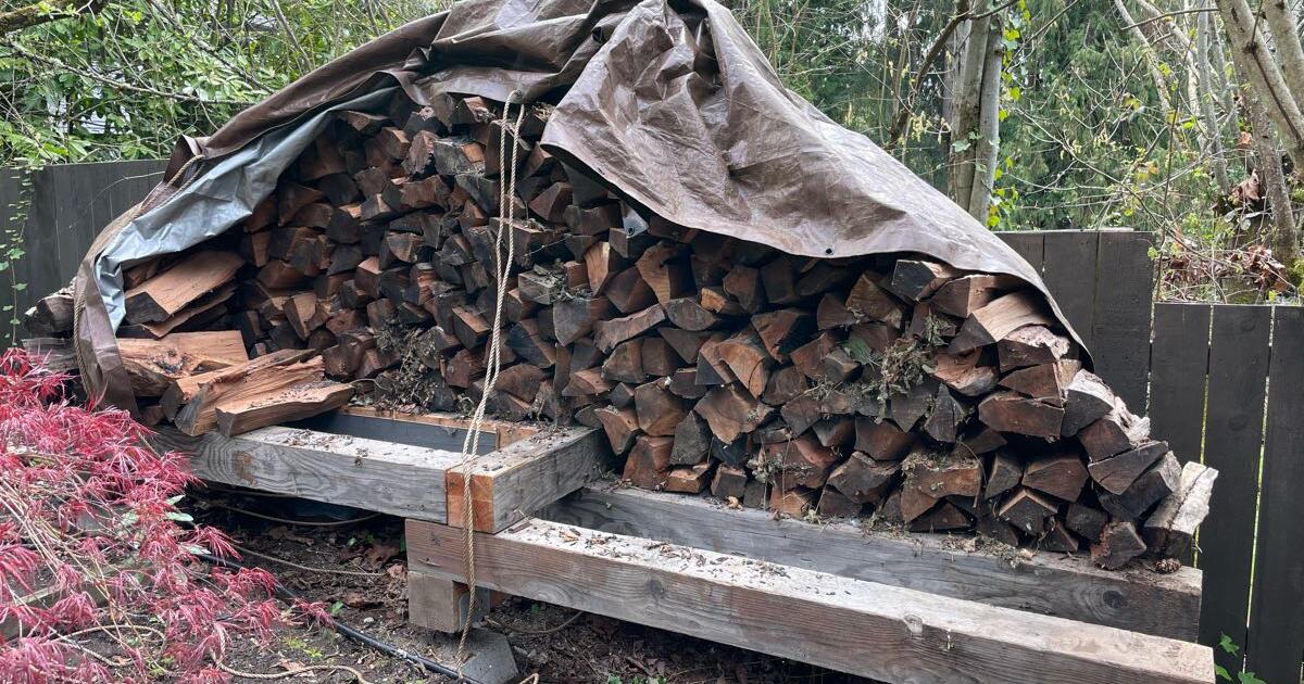Free Madrona Logs for Free in Mercer Island, WA | For Sale & Free ...