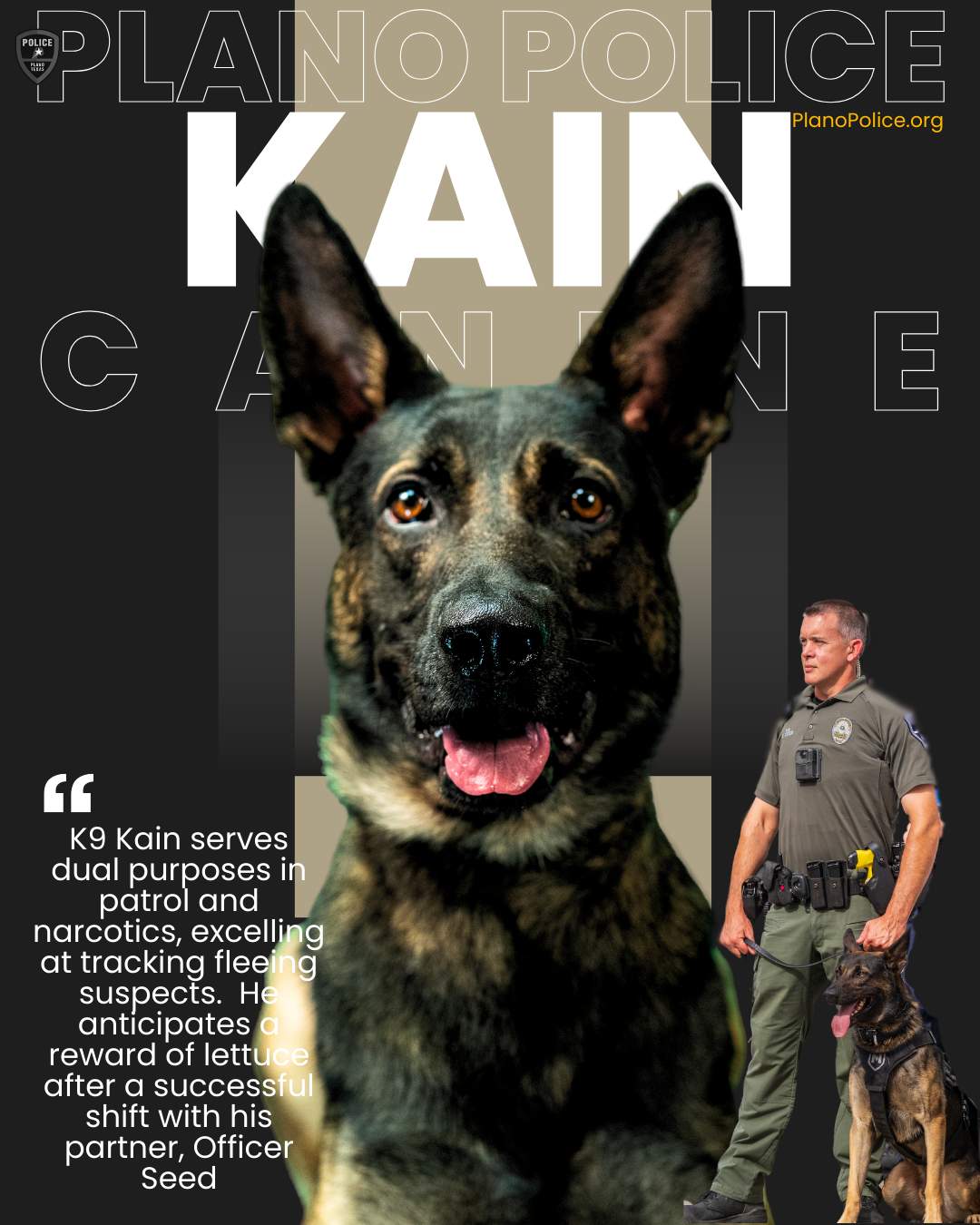 Canine Spotlight (Plano Police Department) — Nextdoor — Nextdoor