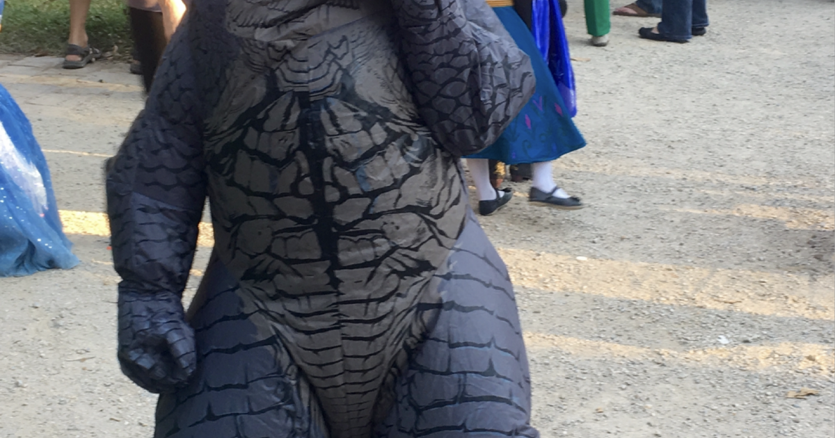 Kids inflatable Godzilla costume for $20 in Alexandria, VA | For Sale ...