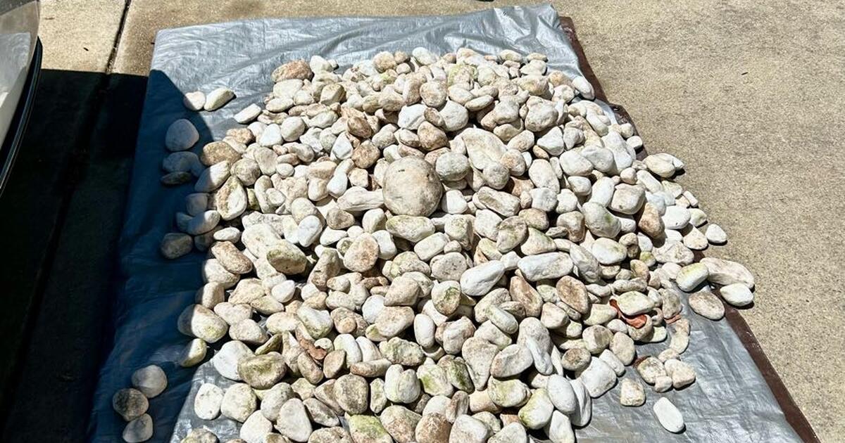 FREE!! White landscaping Rock for Free in El Dorado Hills, CA | For ...