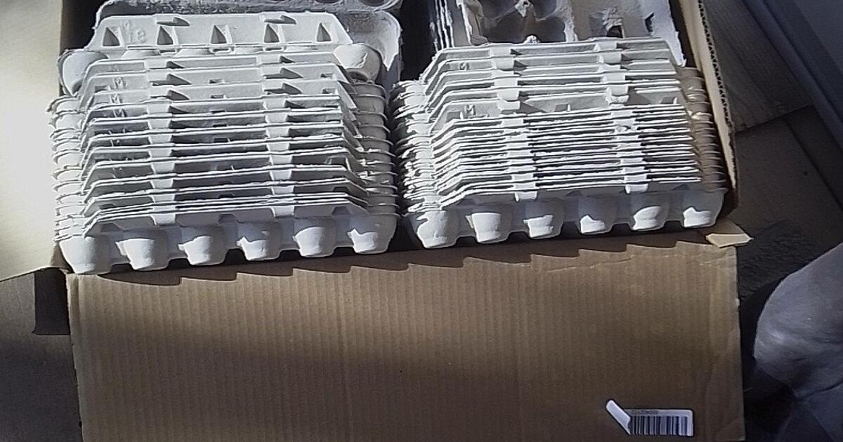 Free Egg Cartons for Free in Hamilton, NY | For Sale & Free — Nextdoor