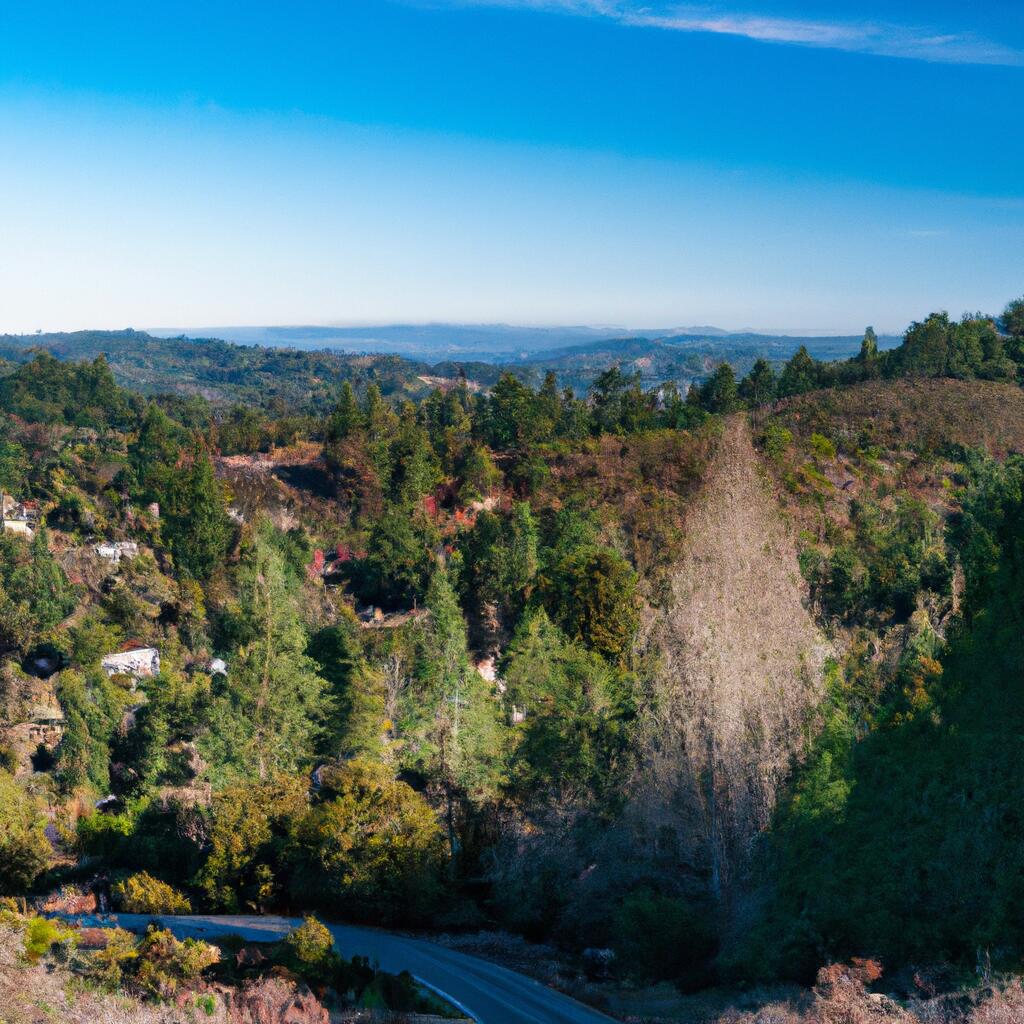 Big Foot Hill, Felton | Everything You Need to Know