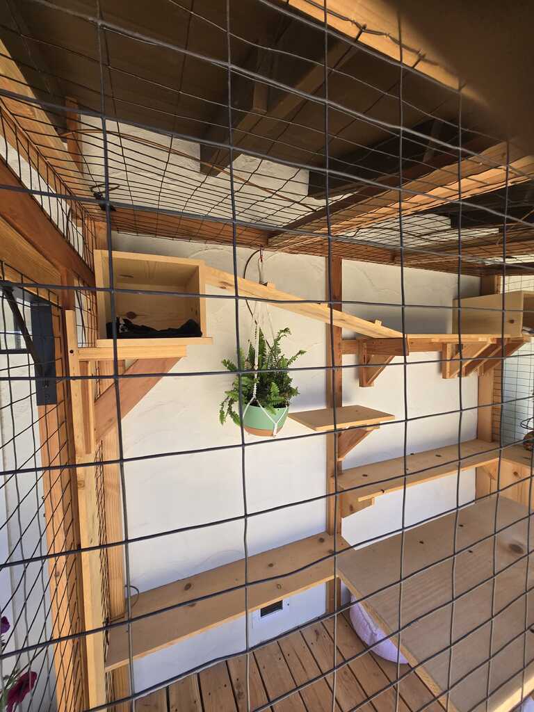 Rod creative mind - San Diego, CA - Nextdoor