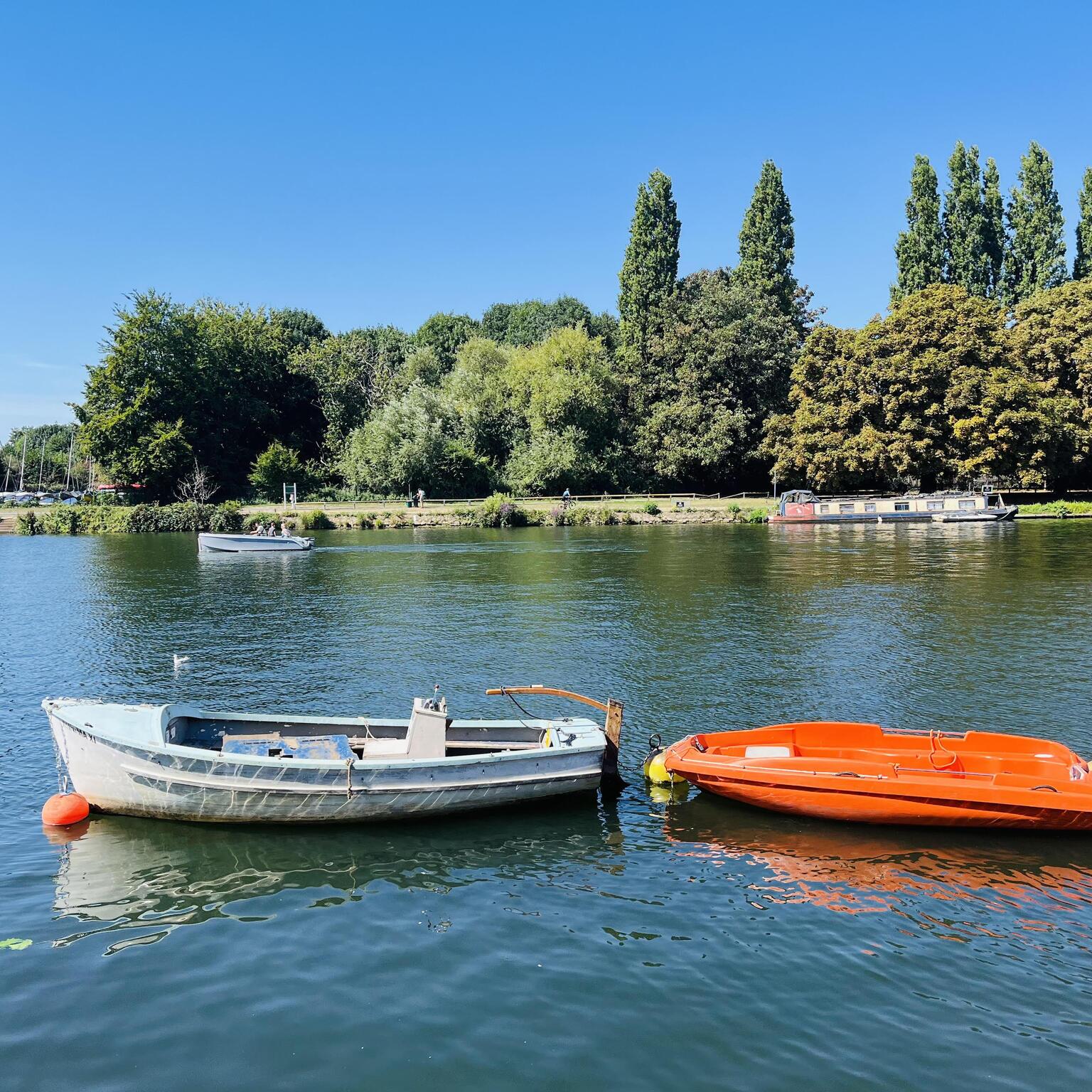 Patricia Johnson - Thames Ditton - Nextdoor