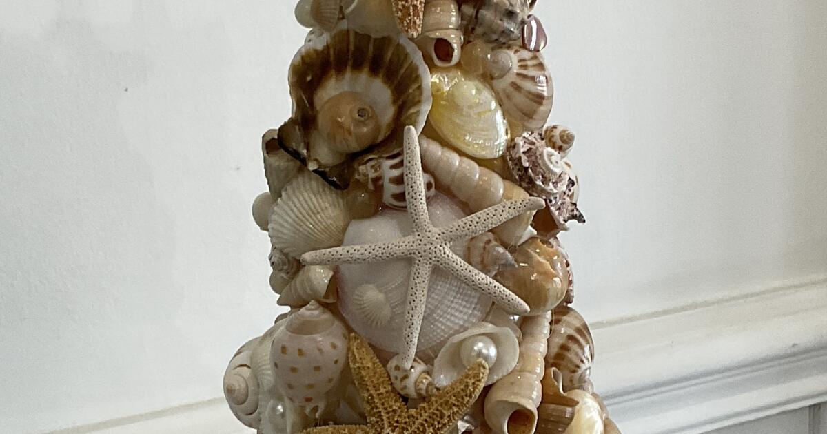 Shell Trees (ABU) for $60 in Longs, SC | For Sale & Free — Nextdoor