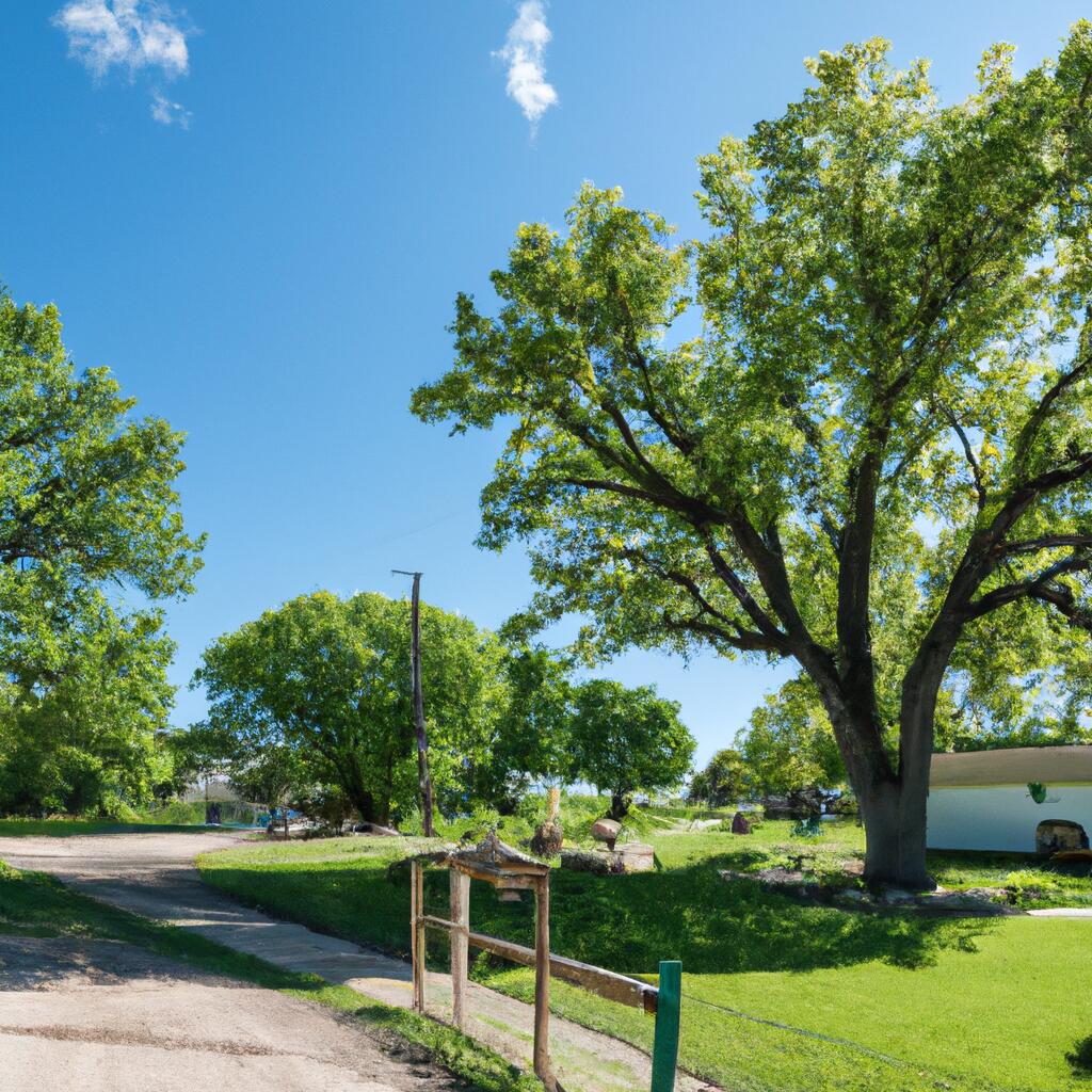 Carlisle Park, Carlisle | Everything You Need to Know