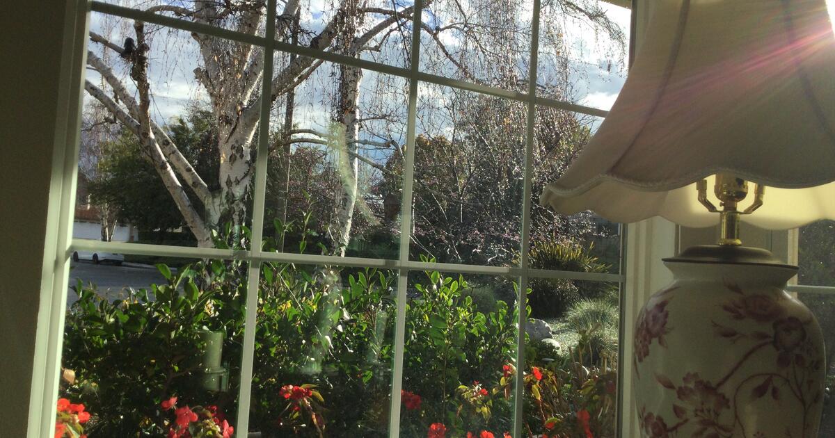 Texas ruby red grapefruit for Free in Thousand Oaks, CA | For Sale ...