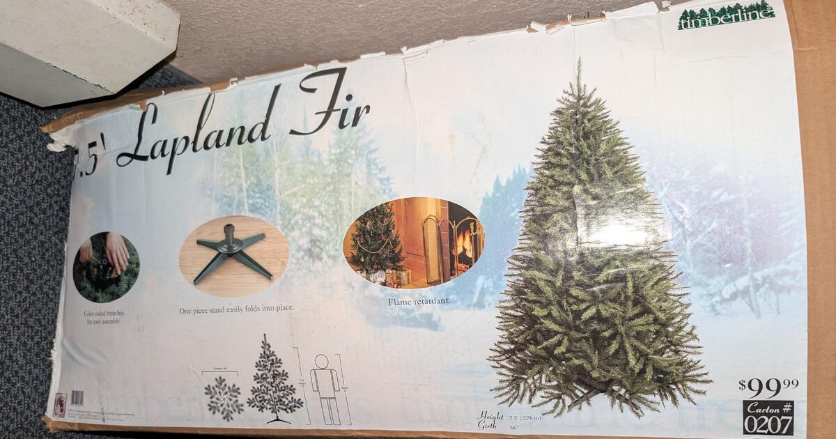 7.5' Lapland Fir Christmas Tree for Free in Long Lake, MN | For Sale ...