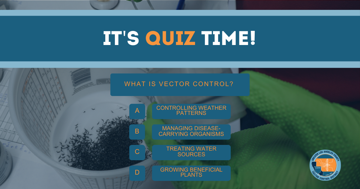 What is vector control? (Greater Los Angeles County Vector Control ...