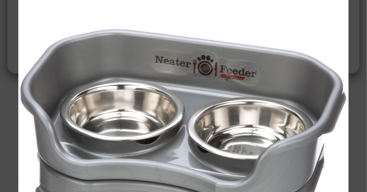 Neater Feeder Express for Cats - Mess Proof Pet for $12 in Antioch, TN ...