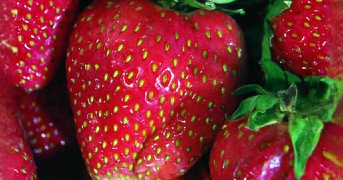 FREE FOOD: Imperfect Produce In San Marcos for Free in San Marcos, CA ...