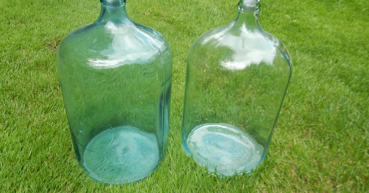 5 Gallon Glass Carboys for $10 in Burlington, WI | For Sale & Free ...