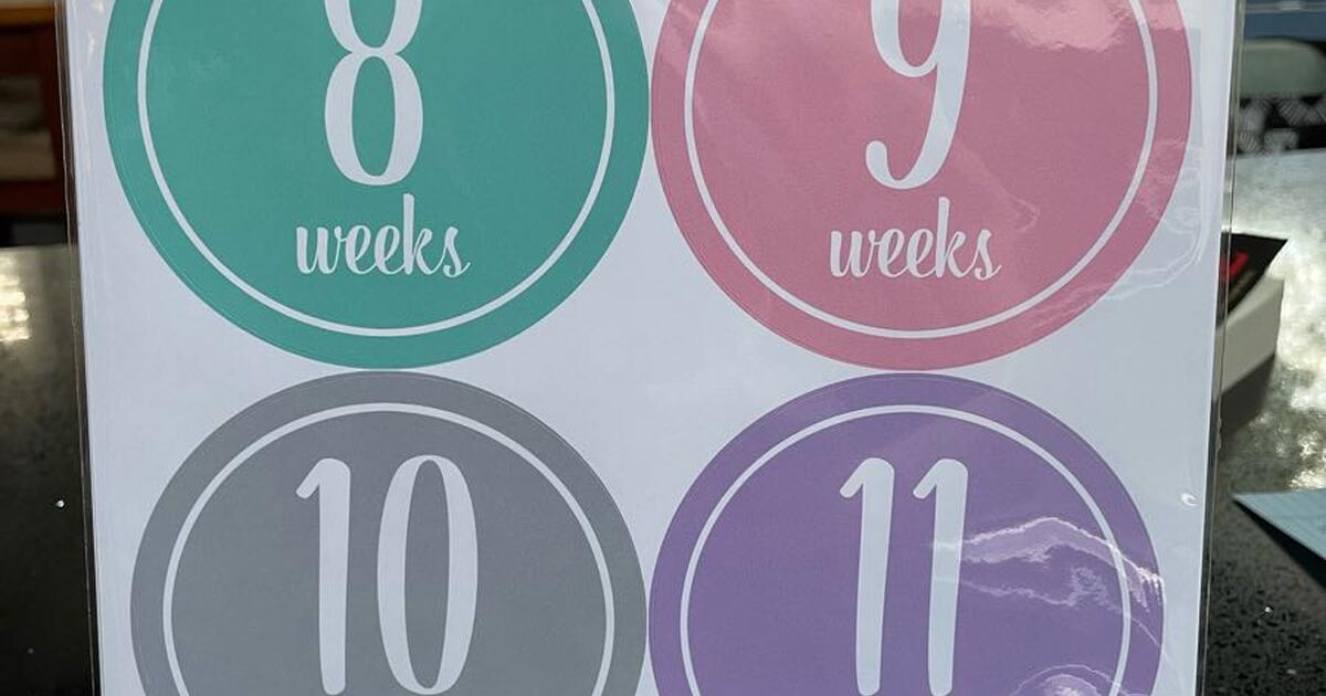 Weekly pregnancy milestone stickers for Free in Wayne, PA | Finds ...