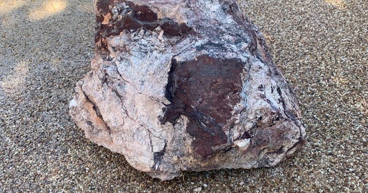 Large Decorative Rock for $150 in Pensacola, FL | For Sale & Free ...