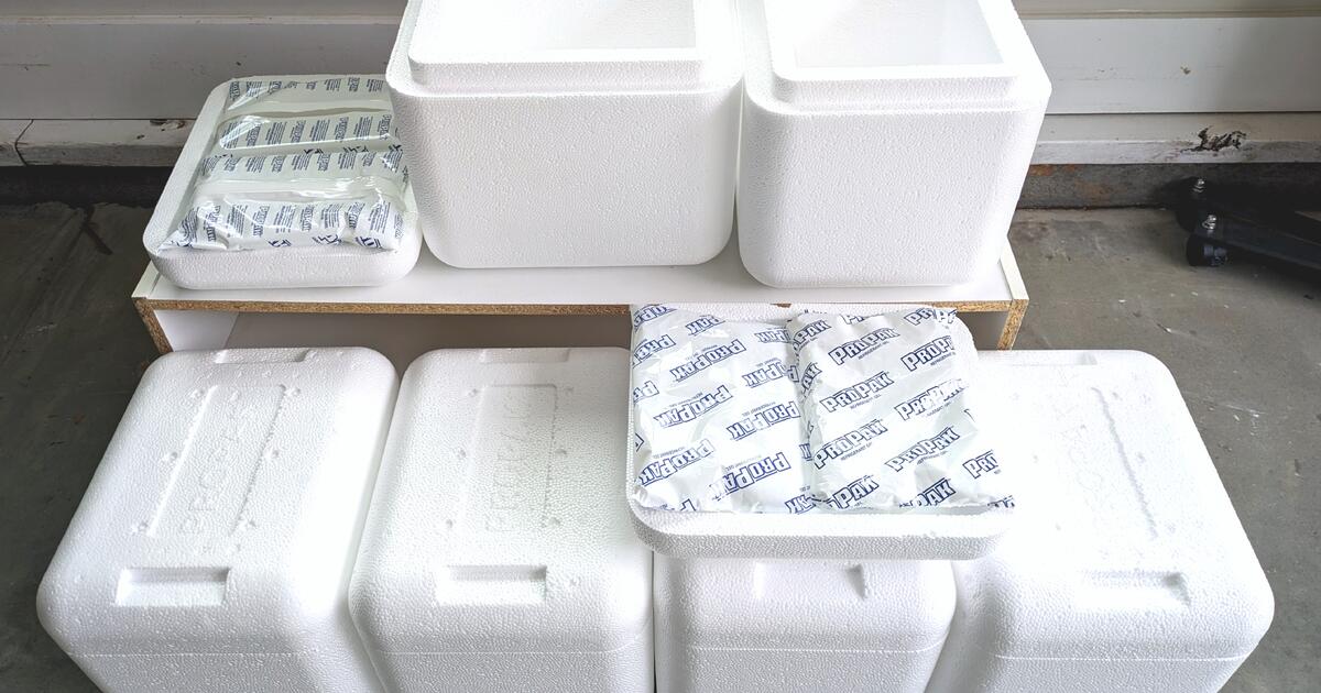 Styrofoam Ice Chest Cooler with Ice Pack for Free in Taylors, SC | For ...