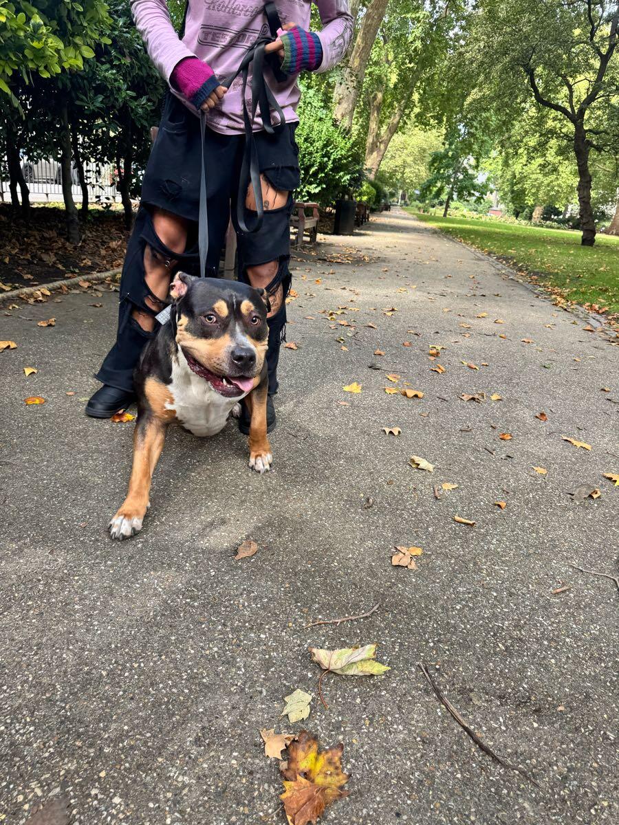 Free Finds in London, E | For Sale & Free — Nextdoor