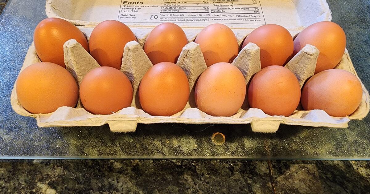 Eggs For Sale for $5 in Bellevue, WA | For Sale & Free — Nextdoor