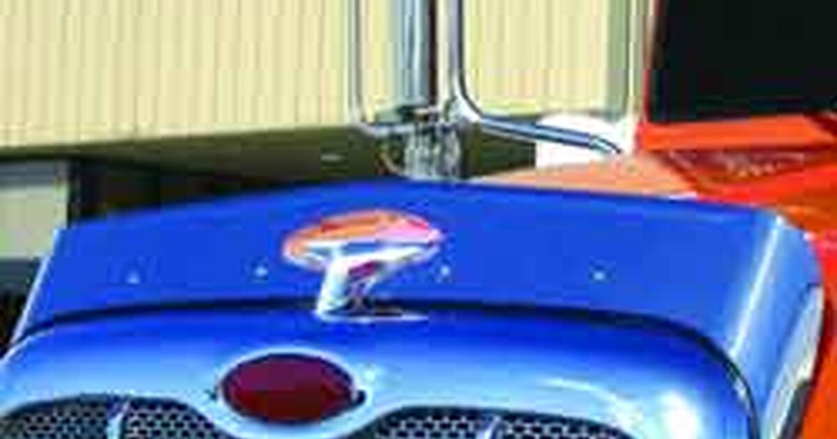 Stainless Steel Sloped Aero Style Bug Shield Fits Peterbilt 386 for ...