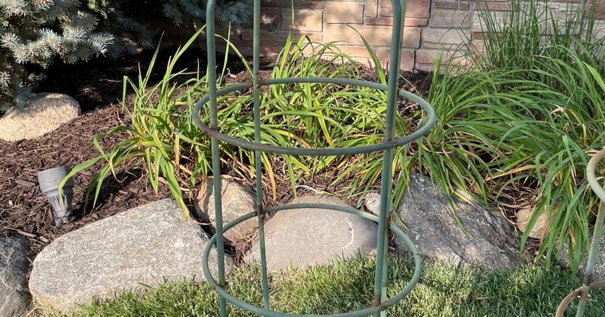 Metal Garden Rose Cages for $15 in Papillion, NE | Finds — Nextdoor