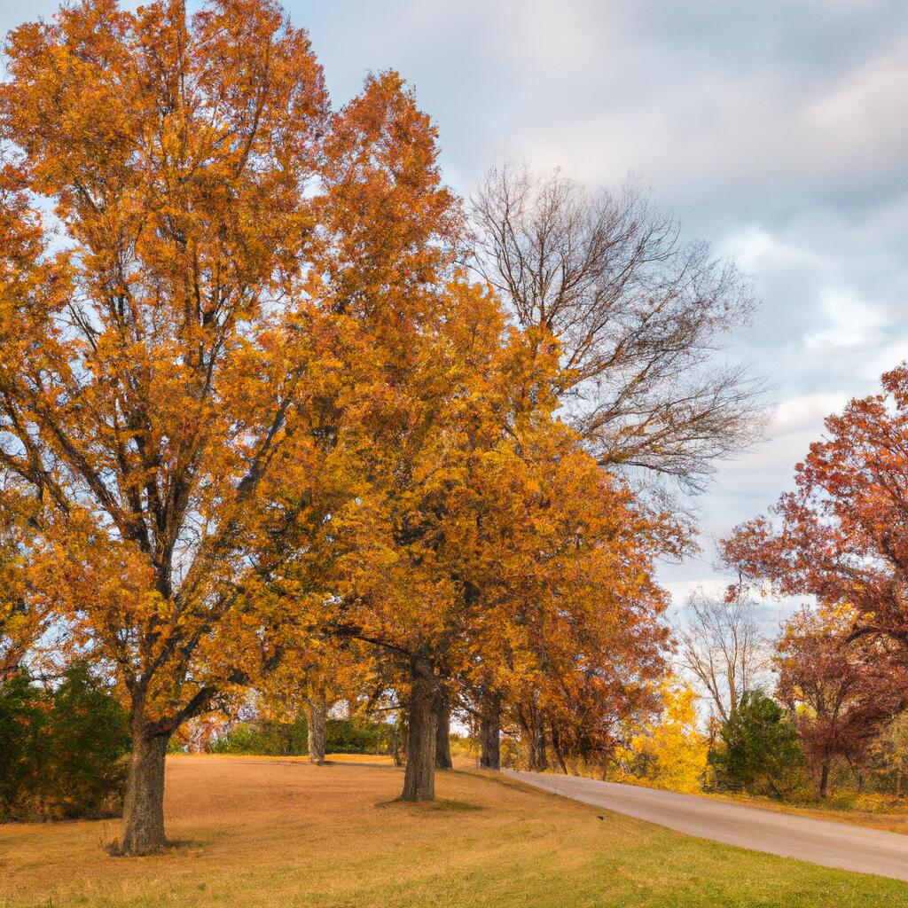 Autumn Ridge, Ixonia | Everything You Need to Know