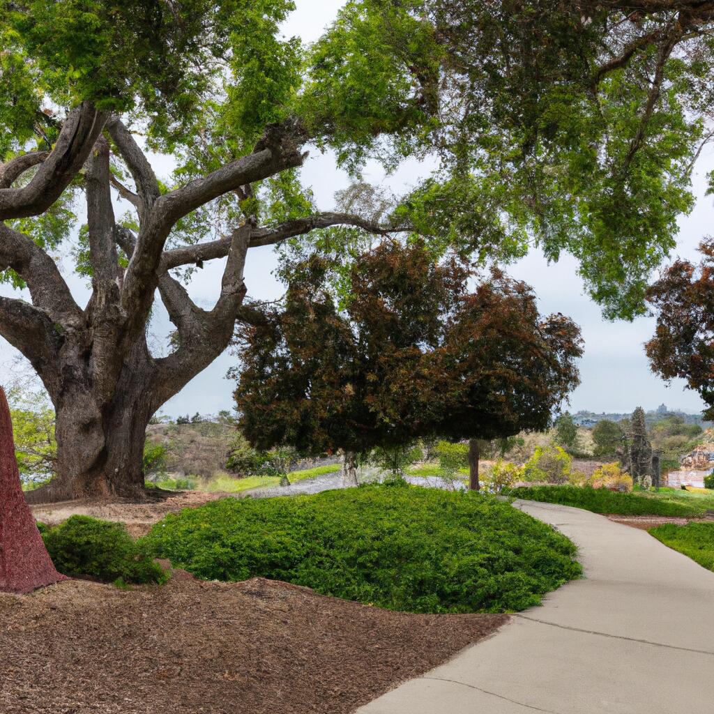 Heritage Oaks Park, Los Altos | Everything You Need to Know