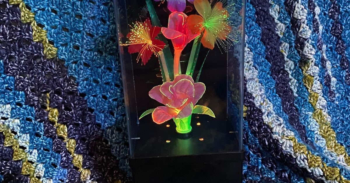UNIQUE LIGHTED FIBER OPTIC FLOWER MUSIC BOX for $65 in Denver, CO | For ...