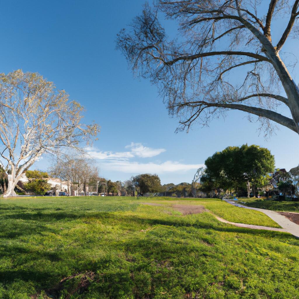 Serra Park, Sunnyvale | Everything You Need to Know
