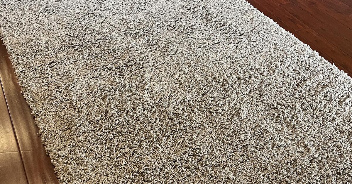 Deep shag 5' x 8' area rug - $30, Lamps $10/pr for $30 in Cave Creek ...